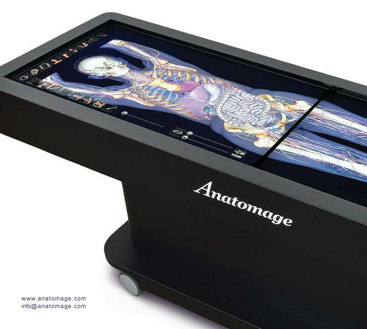 Collins Science Center Receiving an Anatomage Table – The Delta